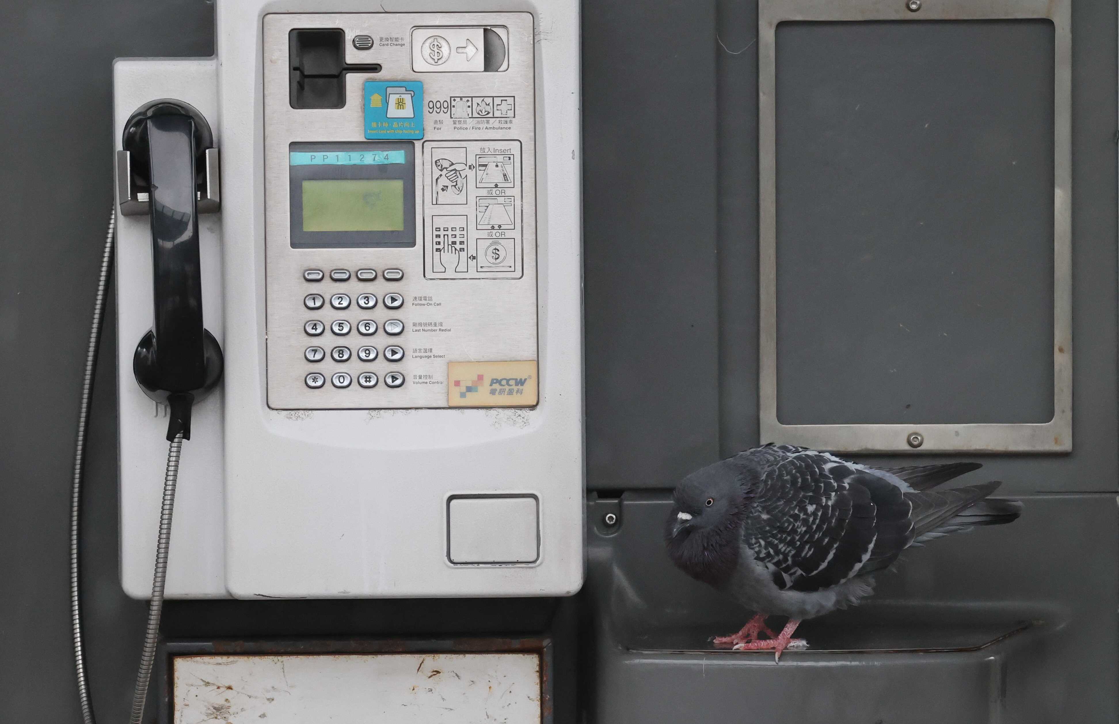 Show off photo prompt: Sir, I’m waiting for a very important call ...