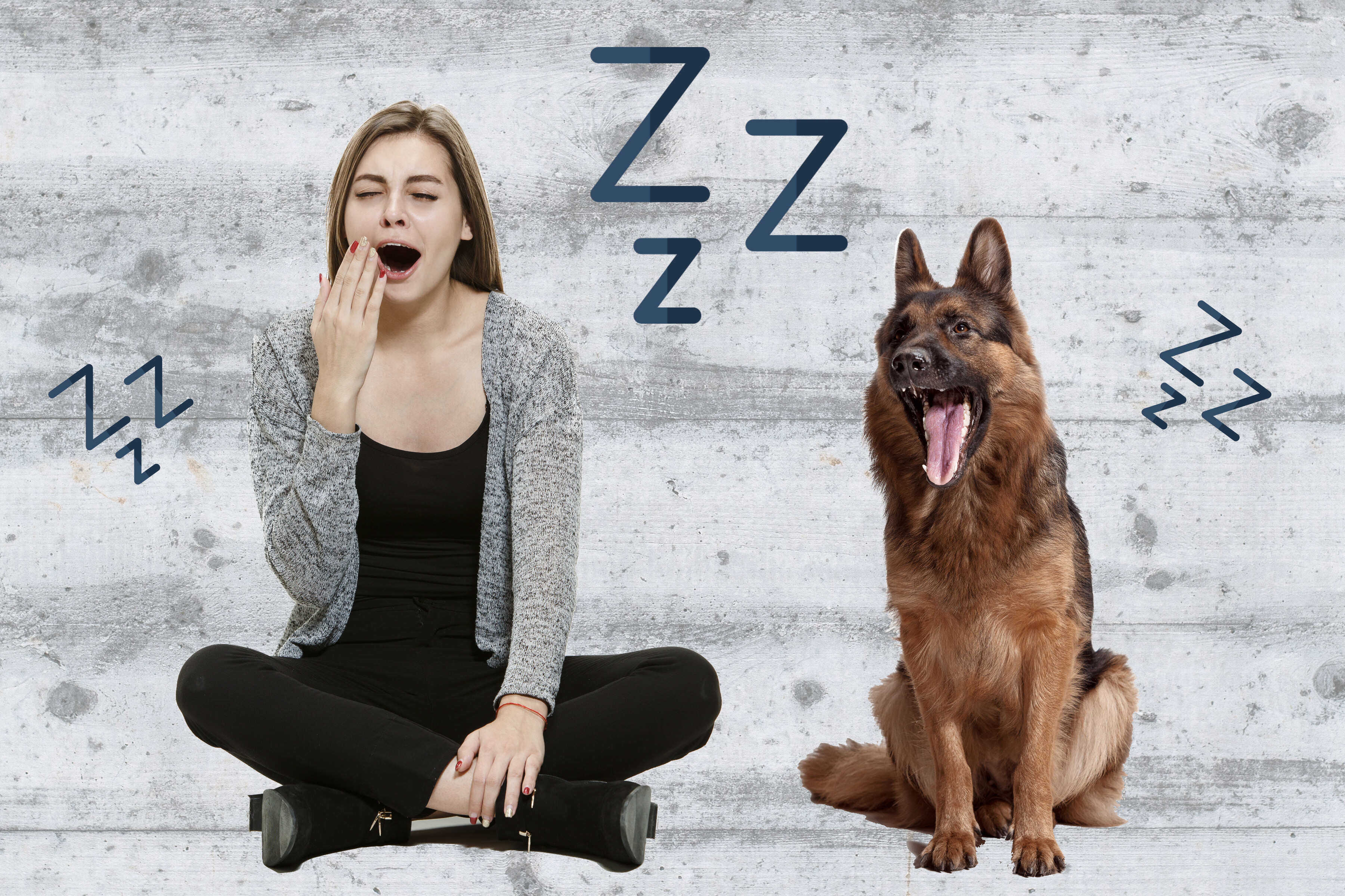 5 facts about yawning that won’t put you to sleep | Young Post Club