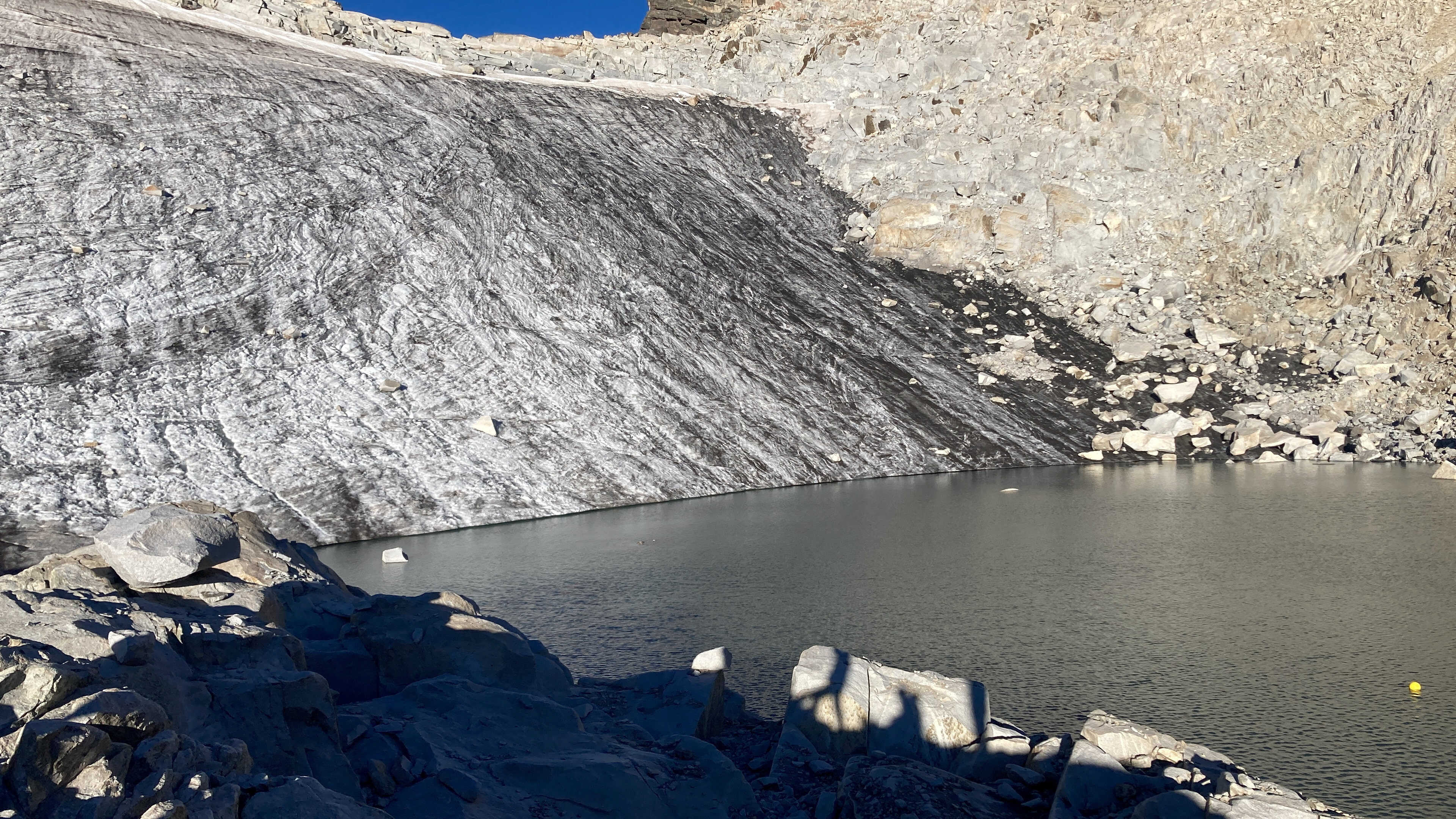 Need to protect ecosystems emerging from melting glaciers | Young Post Club