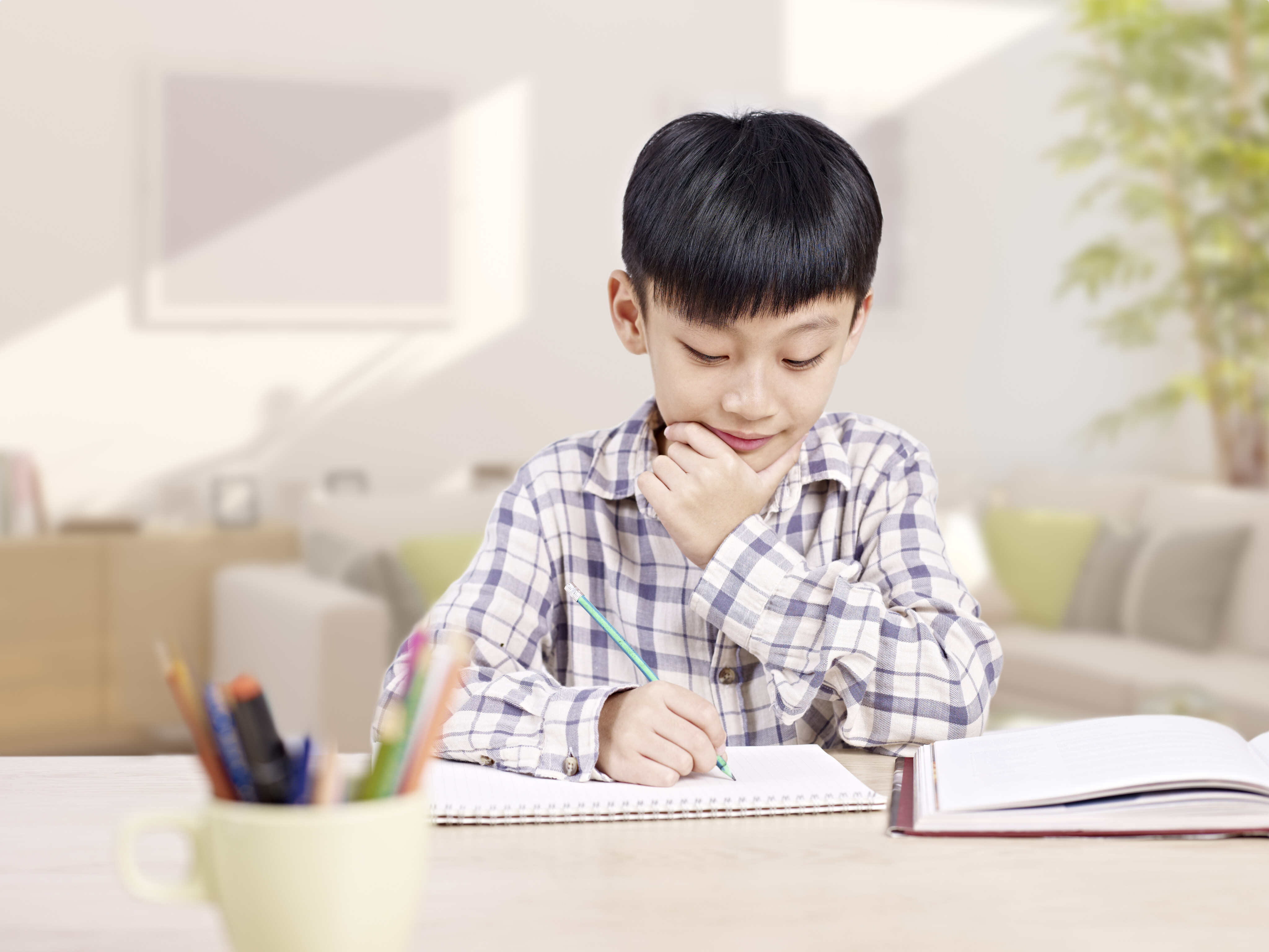 Primary school in China bans homework after 9.30pm | Young Post Club