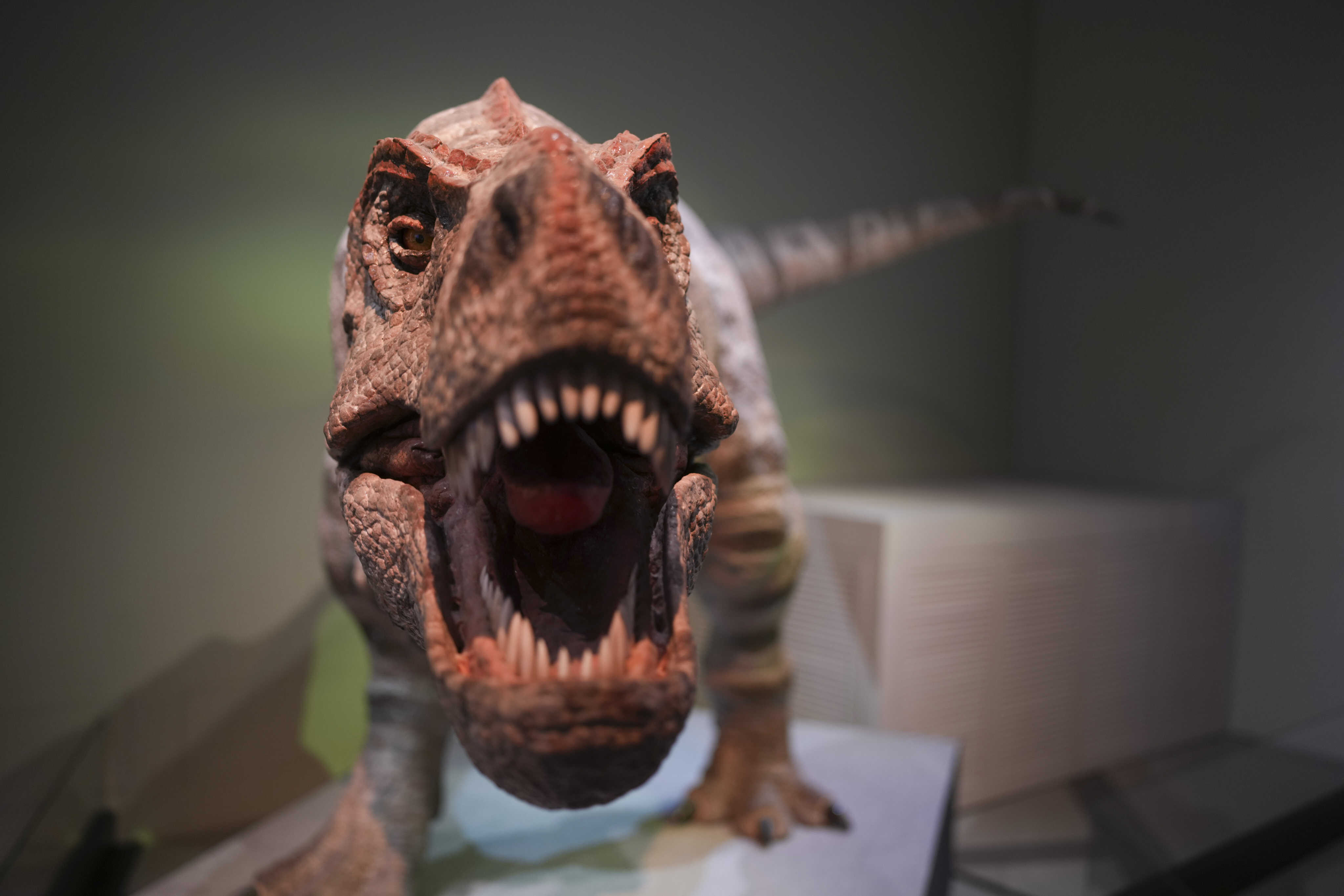 From dinosaurs to megafauna: the evolutionary journey of prehistoric ...