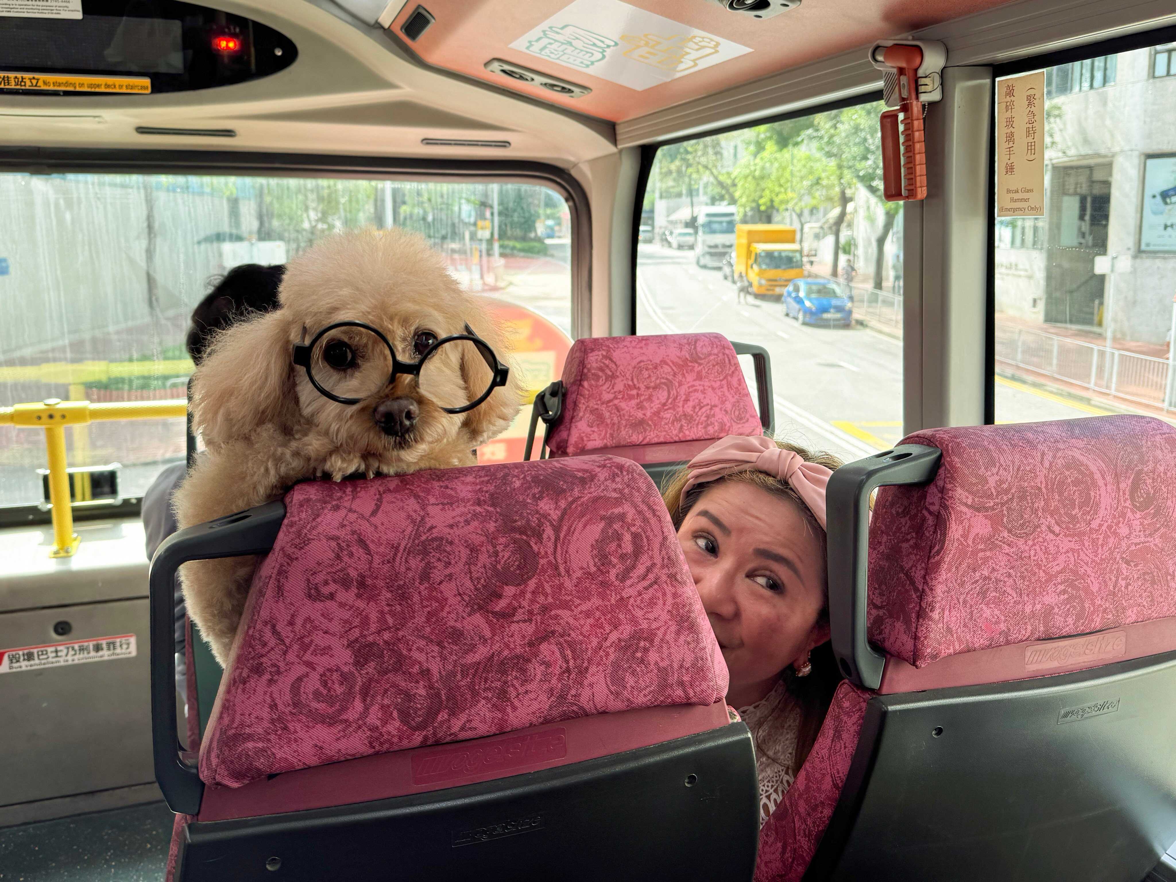 Hong Kong’s MTR Corp, KMB explore pet-friendly policies | Young Post Club