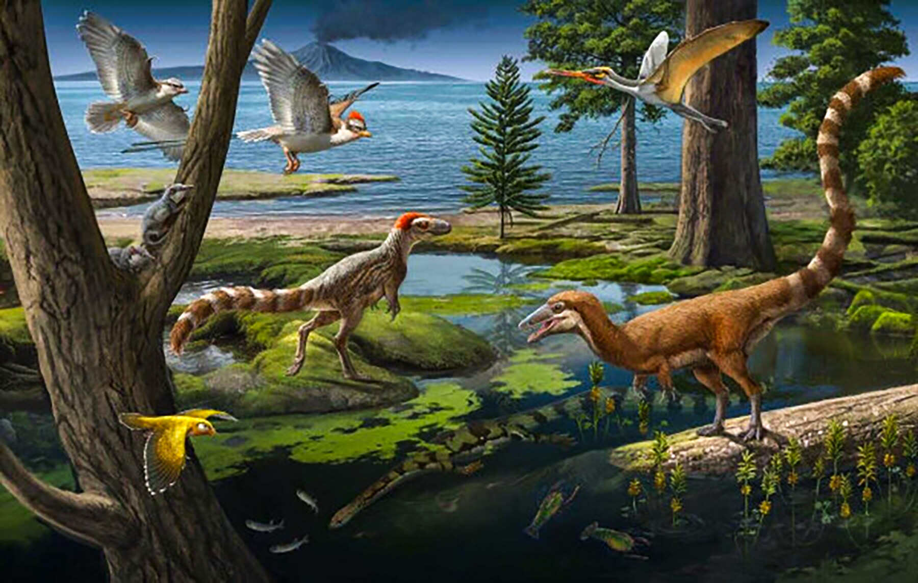 Dinosaur discovery in China reveals prehistoric food chain secrets ...