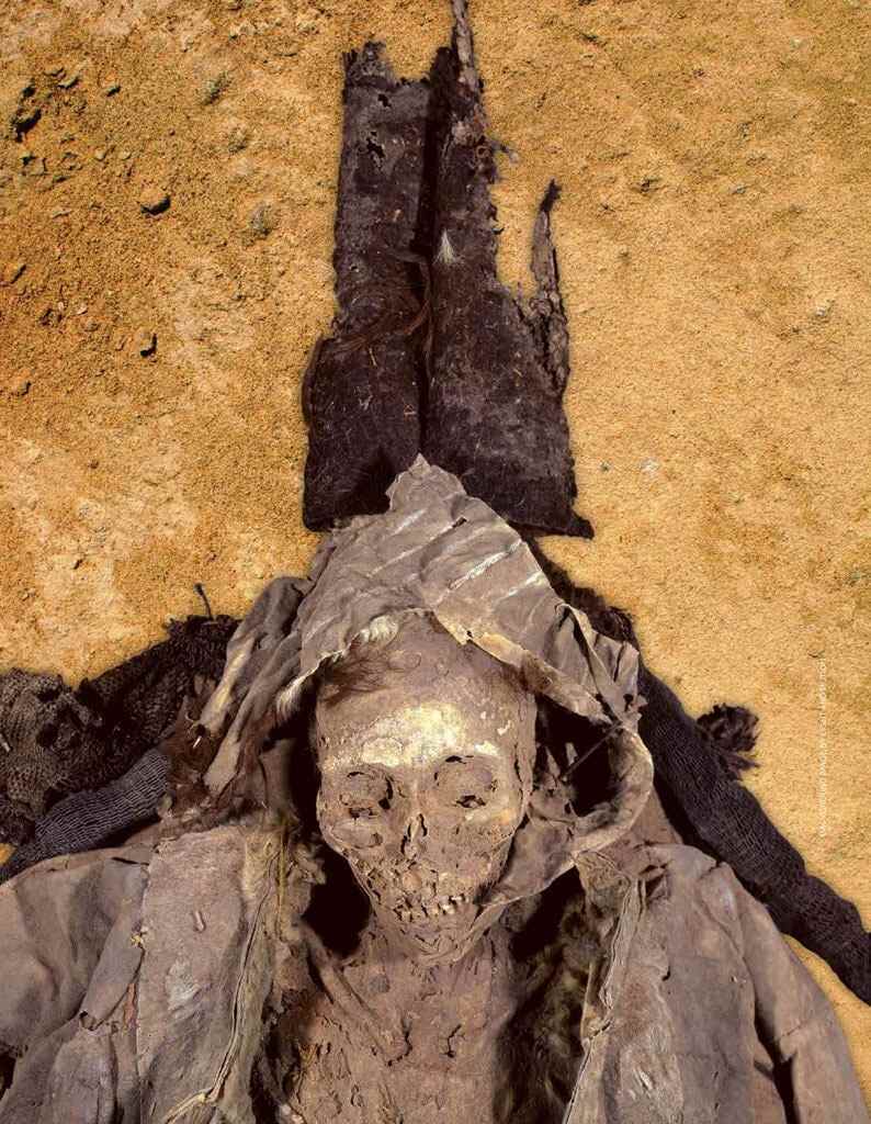 This mummy mystery has a lot to tell us about the ancient Subeshi ...