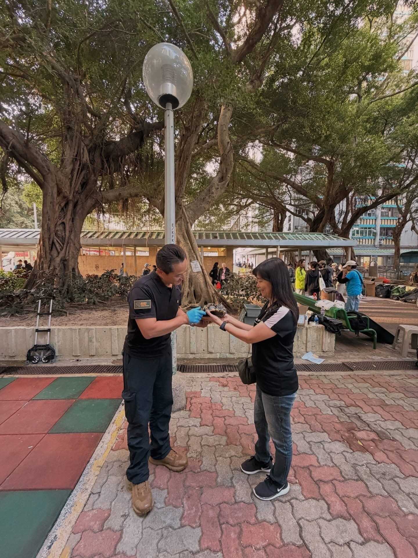 How animal rescuers lent a hand to every paw and claw in need in the ...