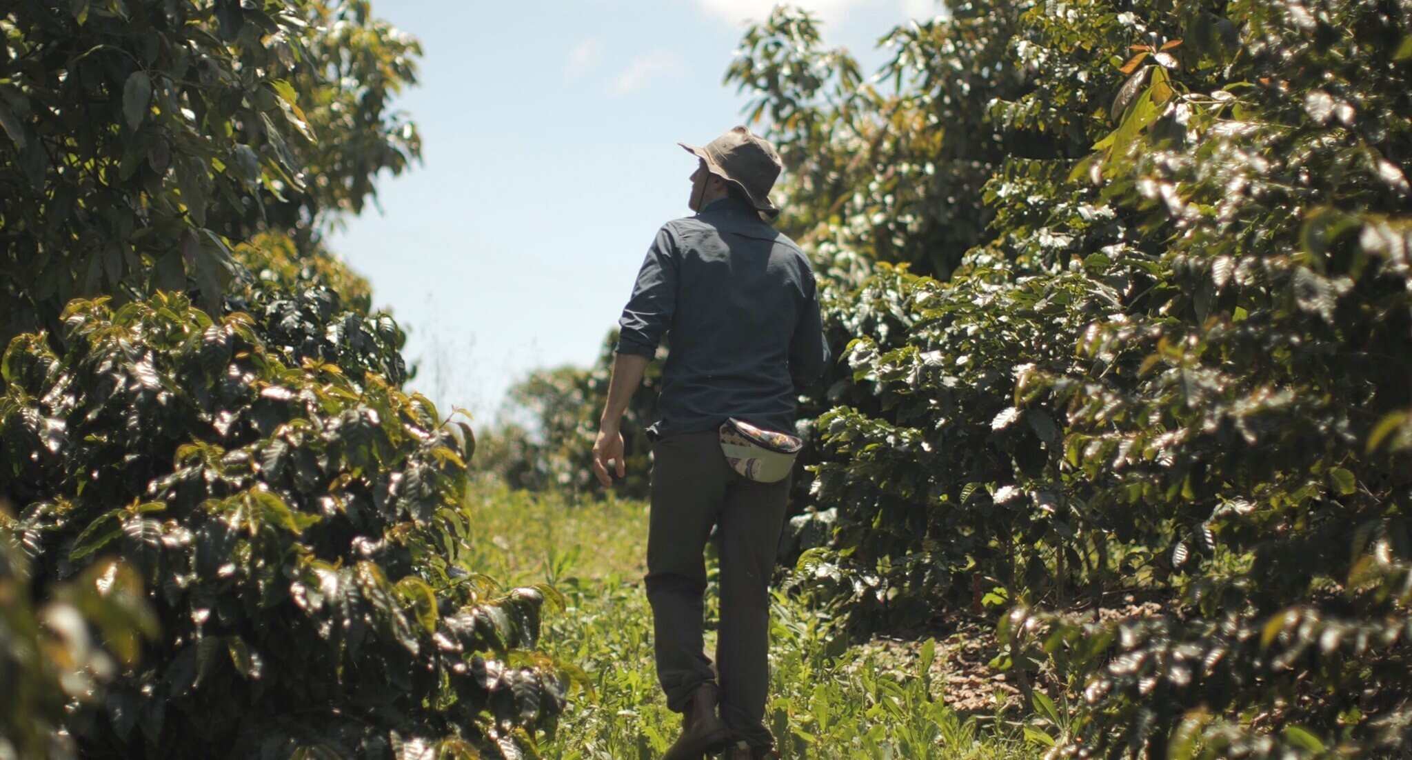 ‘Kiss the Ground’ film review: Soil is the hero | Young Post Club