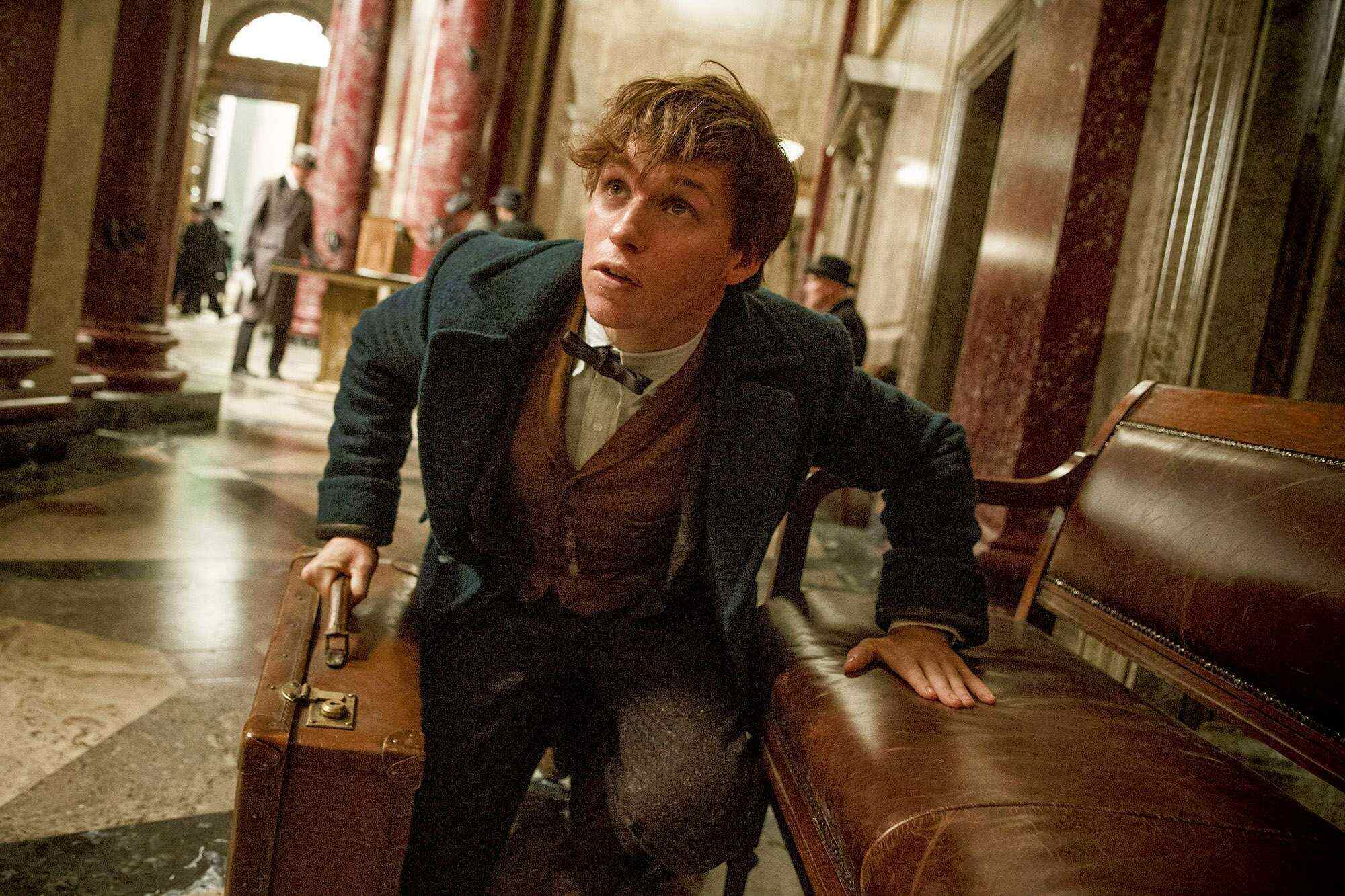 Six things Newt Scamander (aka Eddie Redmayne) wants you to know about ...
