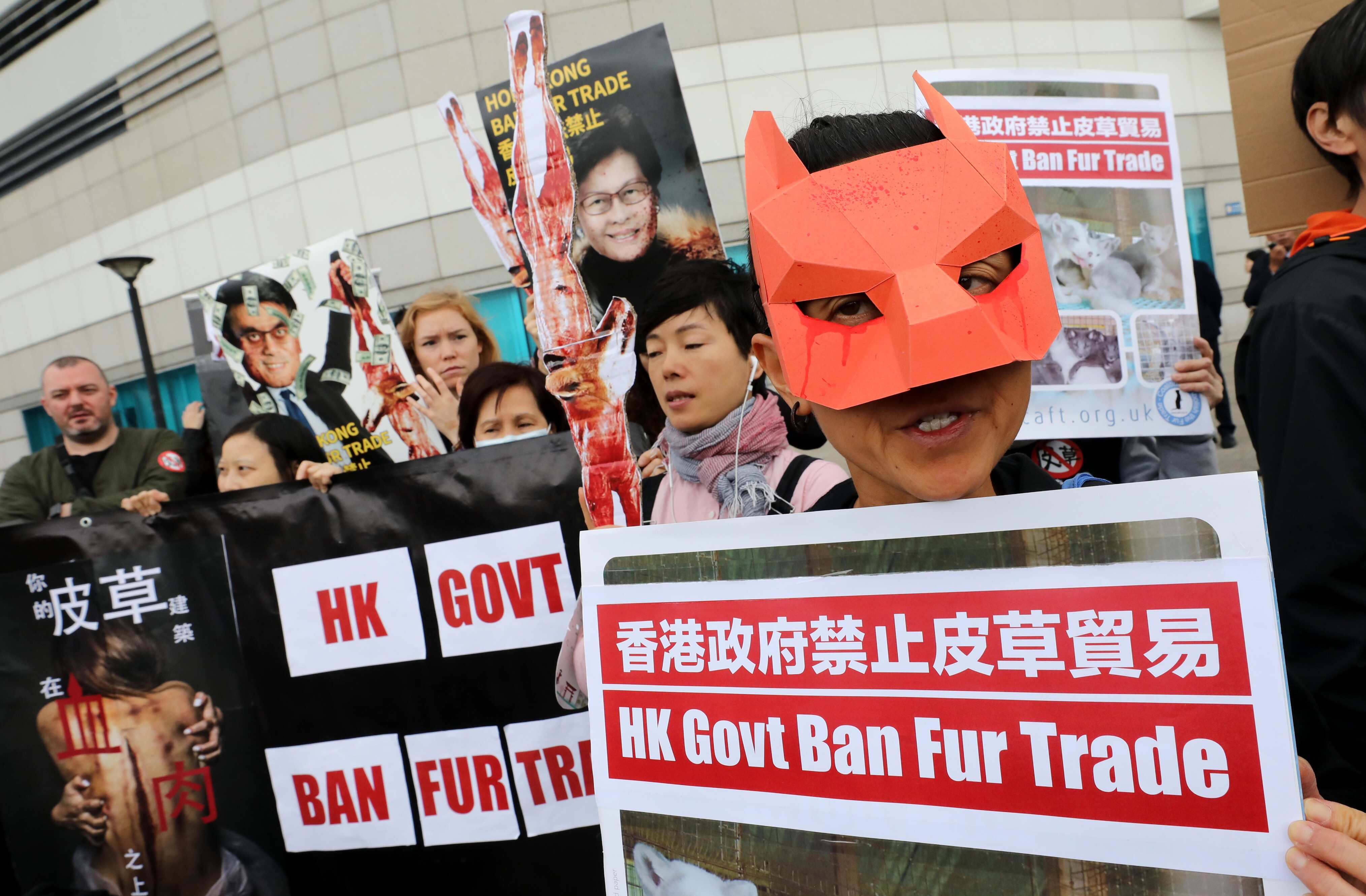 Ban fur trade in HK, say animal rights activists | Young Post Club
