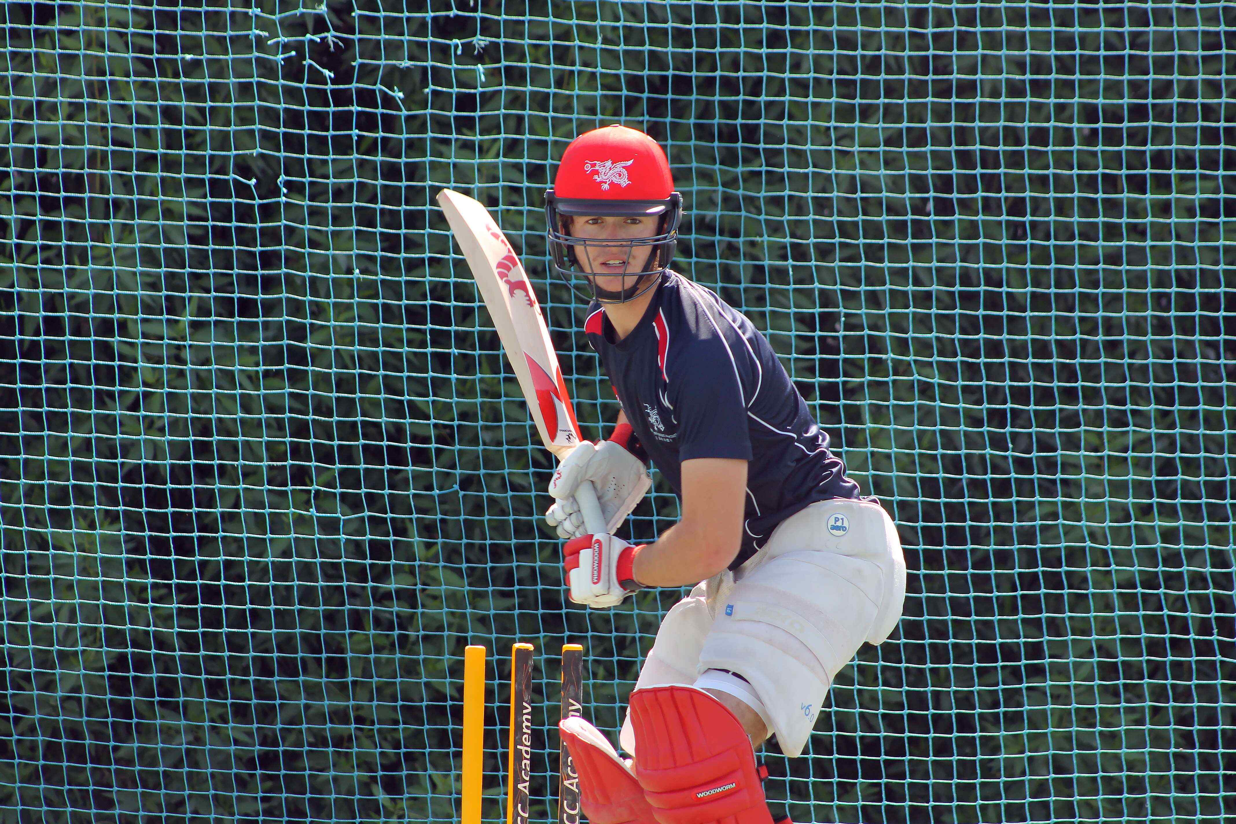 How Hong Kong cricketer Chris Carter has gone from playing in a park to ...
