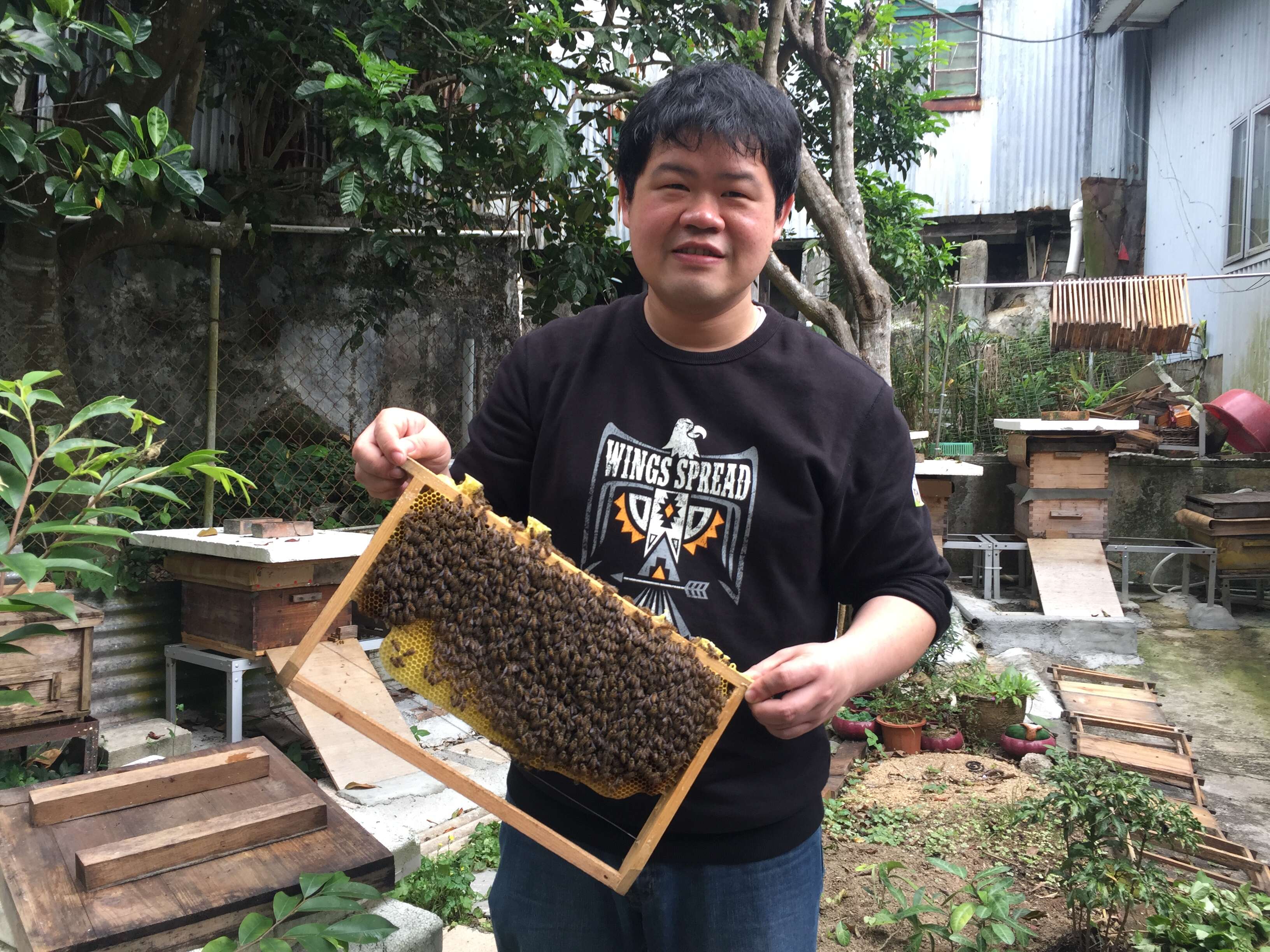 Hugo Yip: Beekeeping the Buzz Alive | Young Post Club