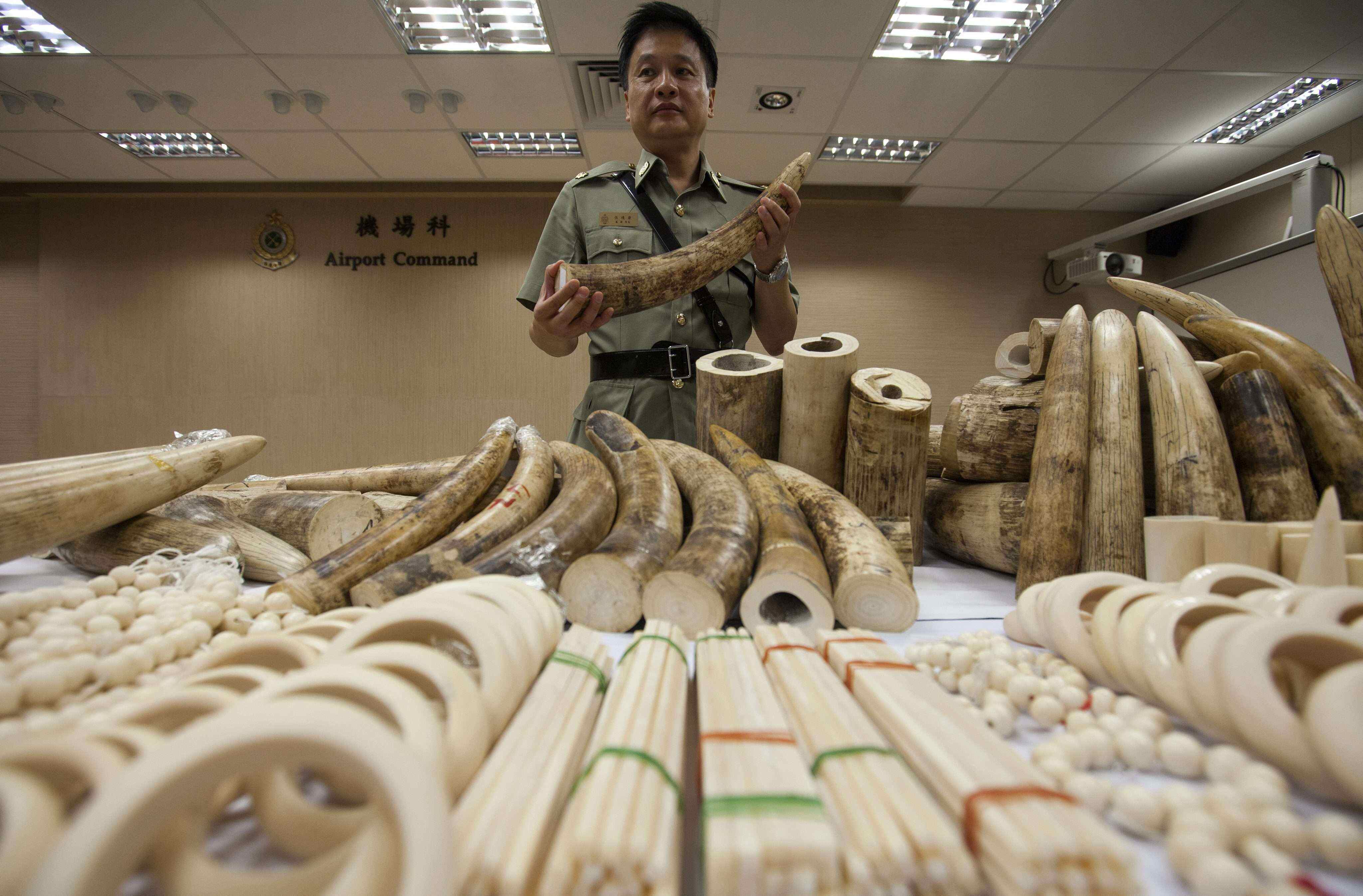 Good news: domestic ivory trade has ended; bad news: Ivory traders want ...