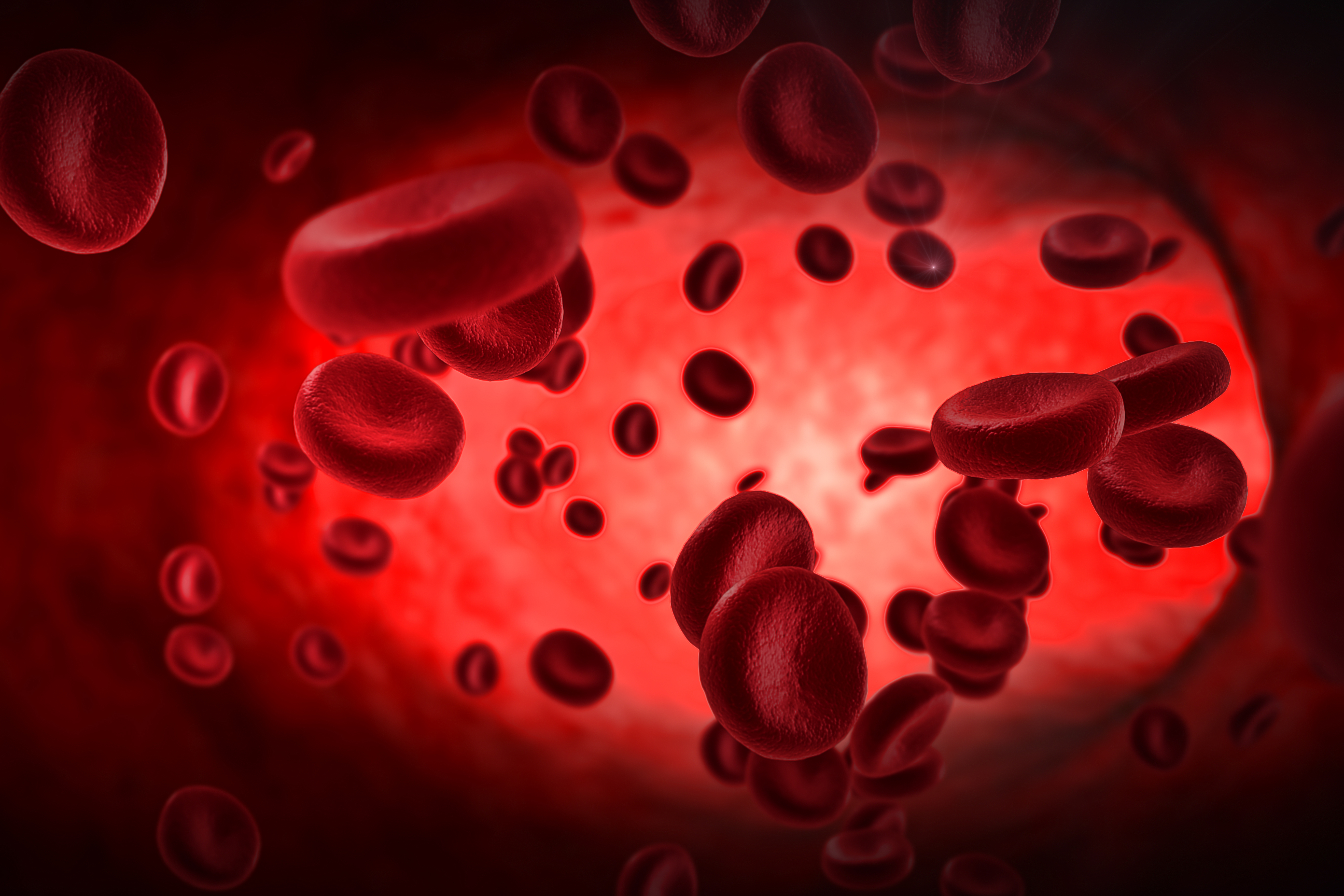 Everything you’ve ever wanted to know about blood: Types, components ...