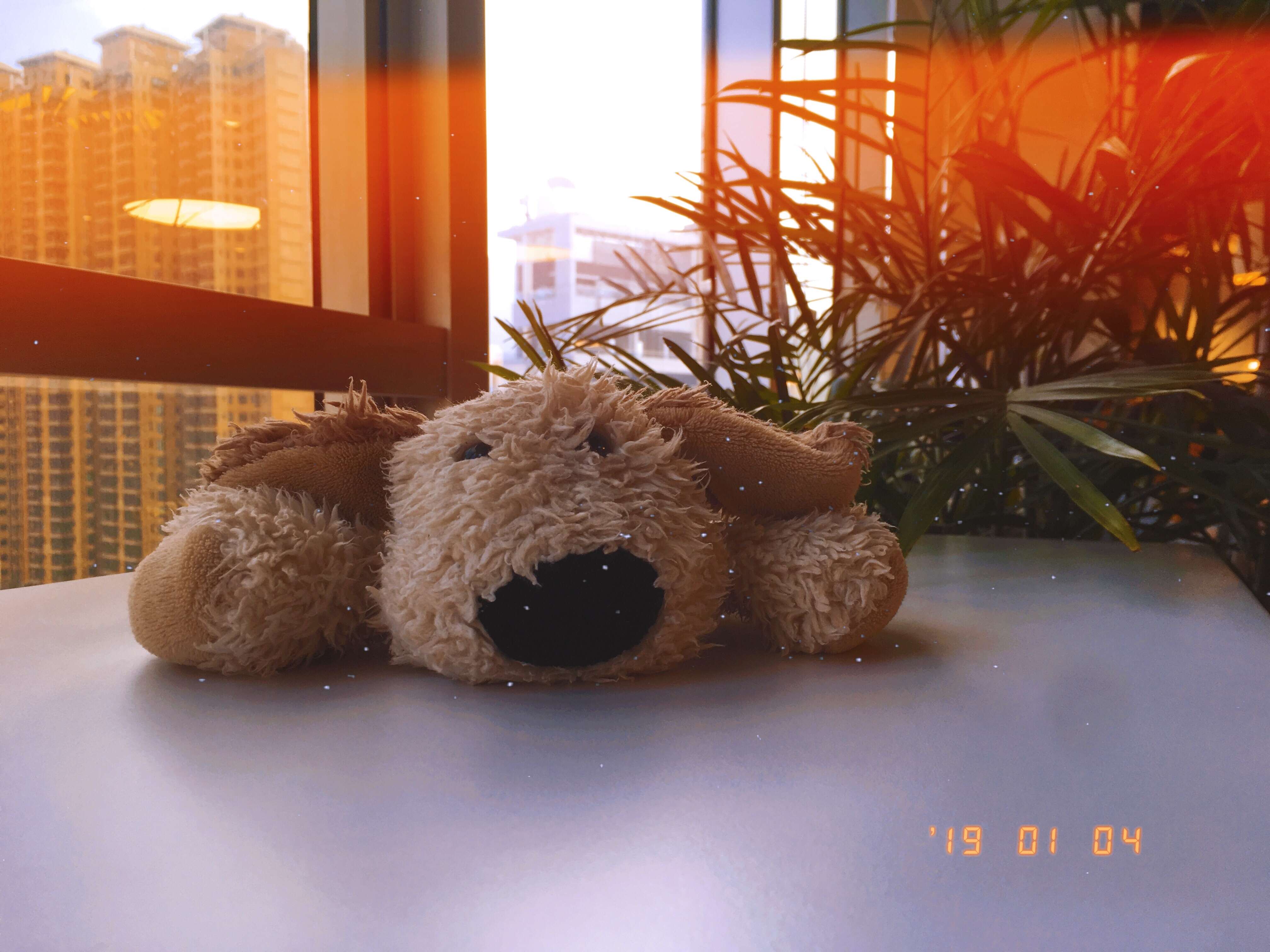 5 camera filter apps to give your photos that #throwback vintage 90s ...