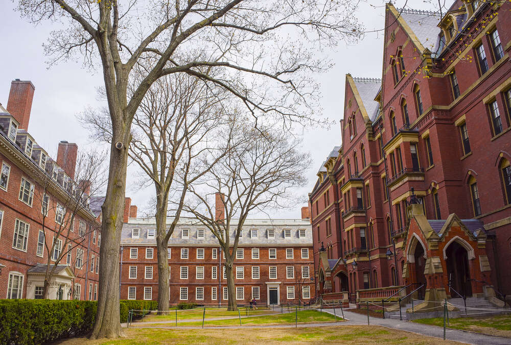 How to write an admissions essay Harvard, Yale, MIT, and other top ...