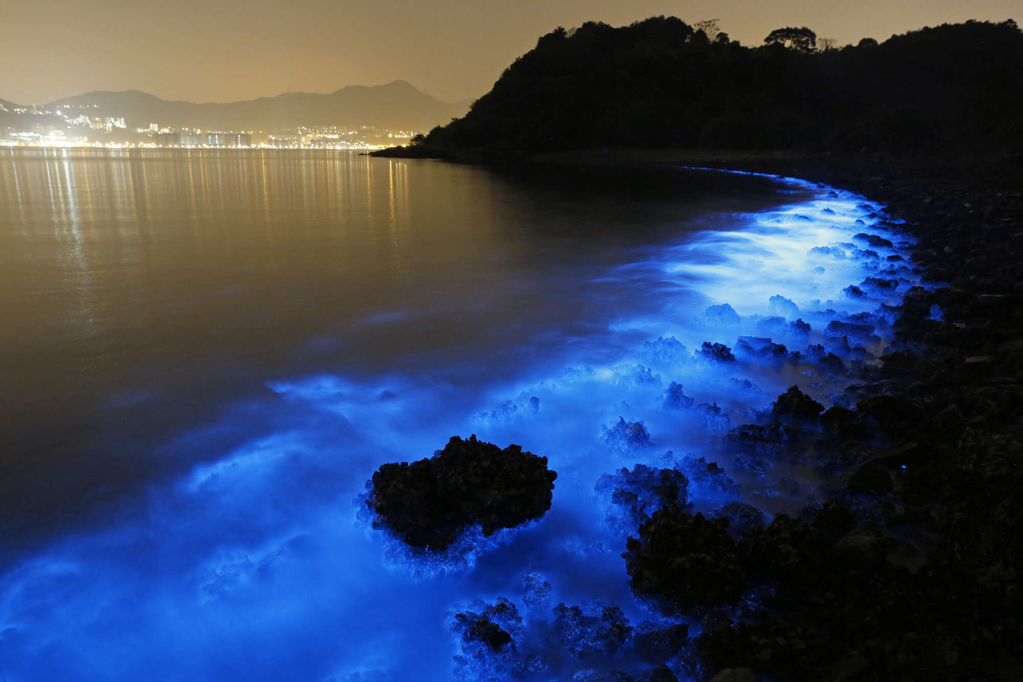 Magnificent blue glow of Hong Kong seas also disturbing | Young Post Club