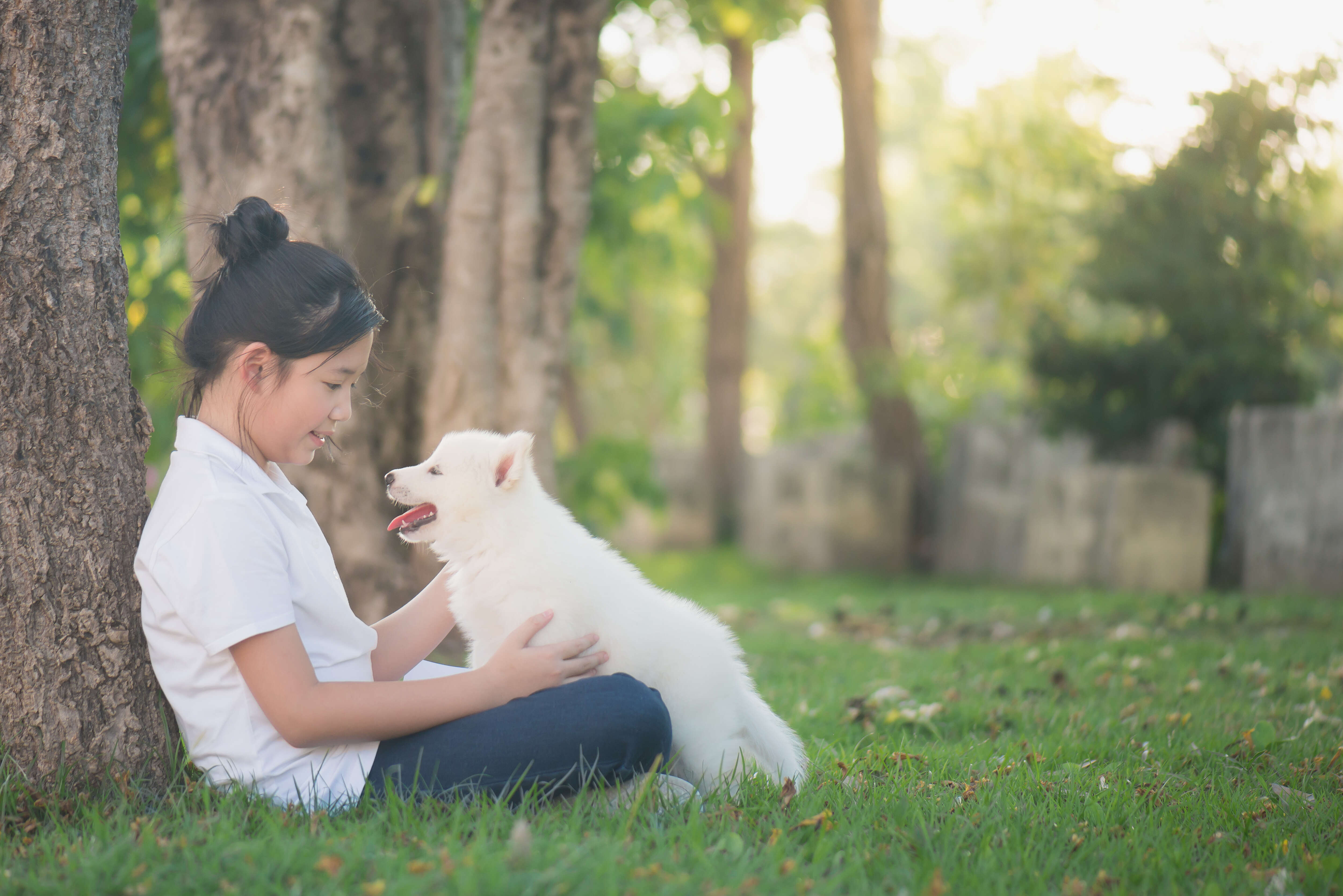 War Horse competition entry by Mak Yee-ching | Young Post Club