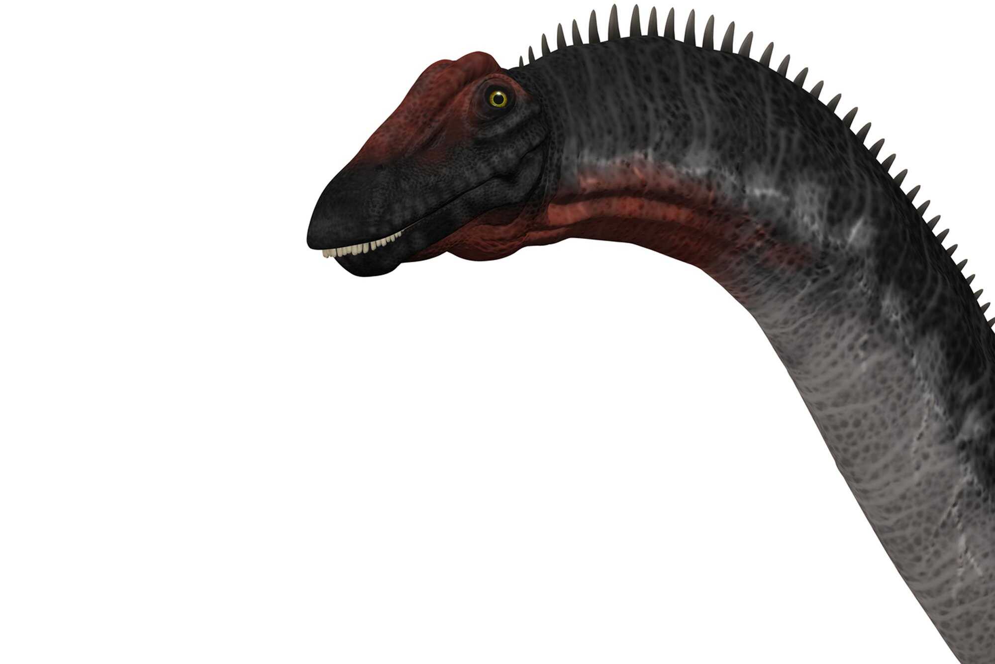 Dissed dinosaur makes comeback | Young Post Club