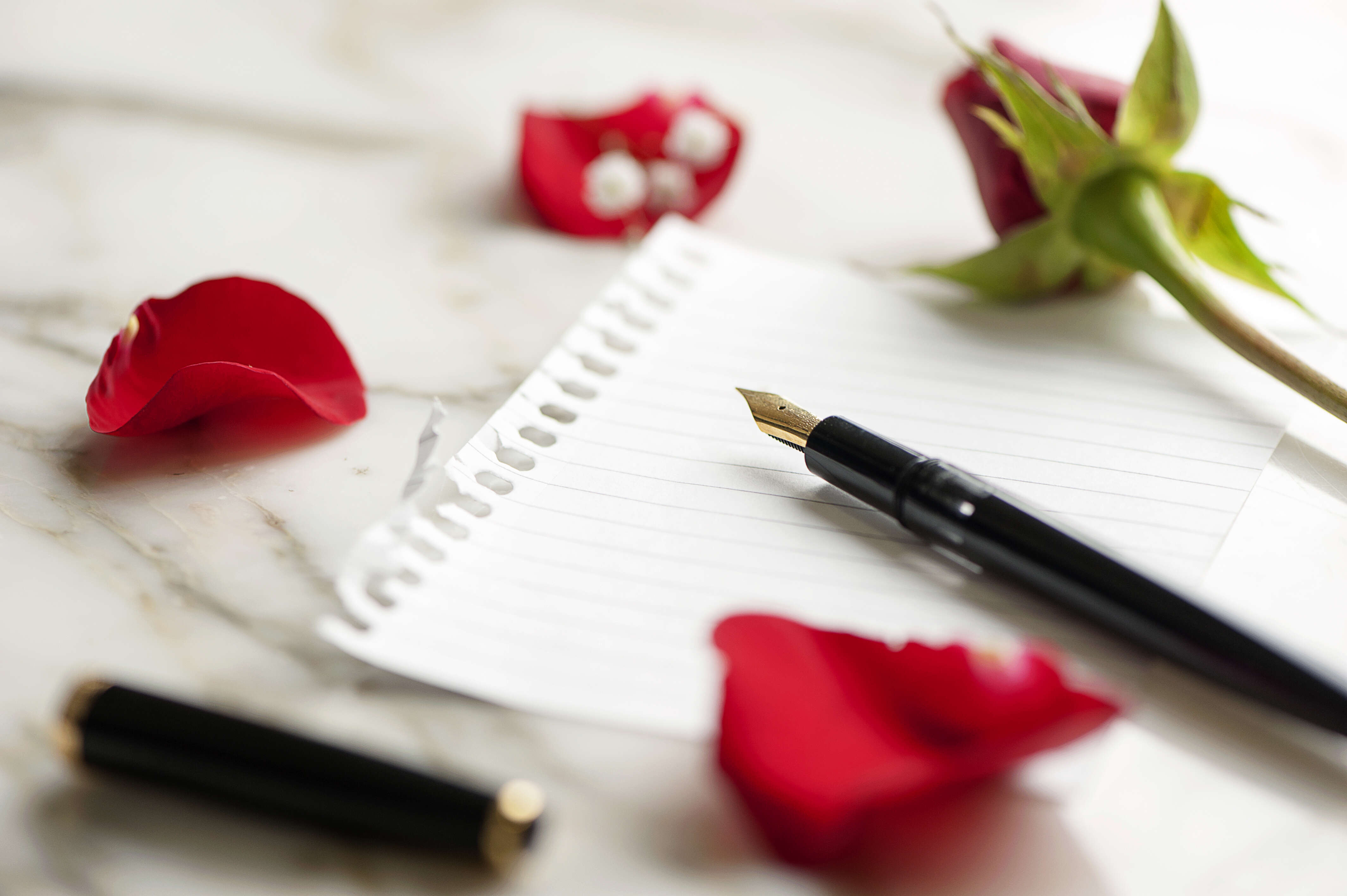 The 7 best love poems from realistic portrayal of relationships to the ...