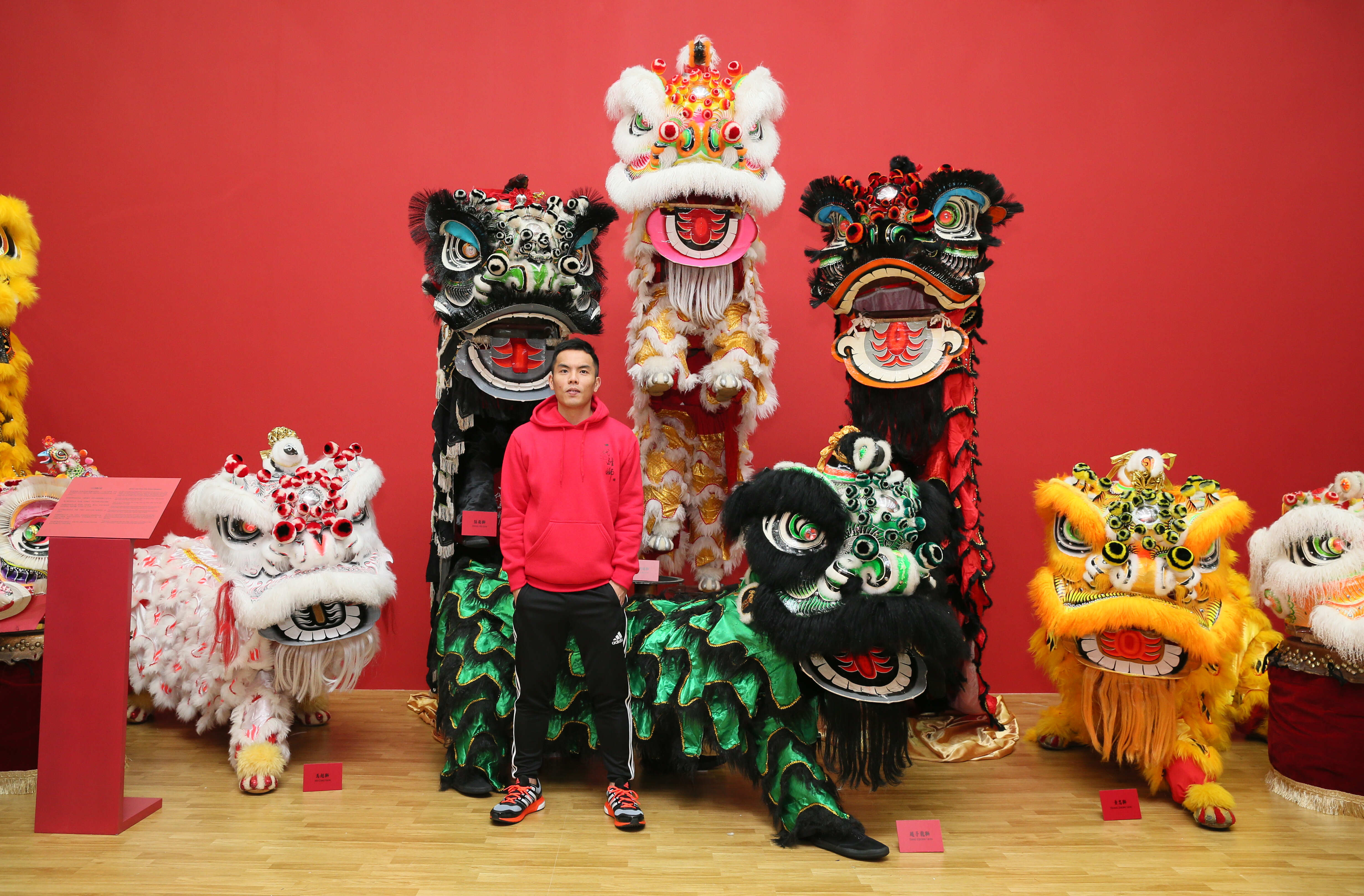 It takes a lion's share of discipline and training to lion dance ...