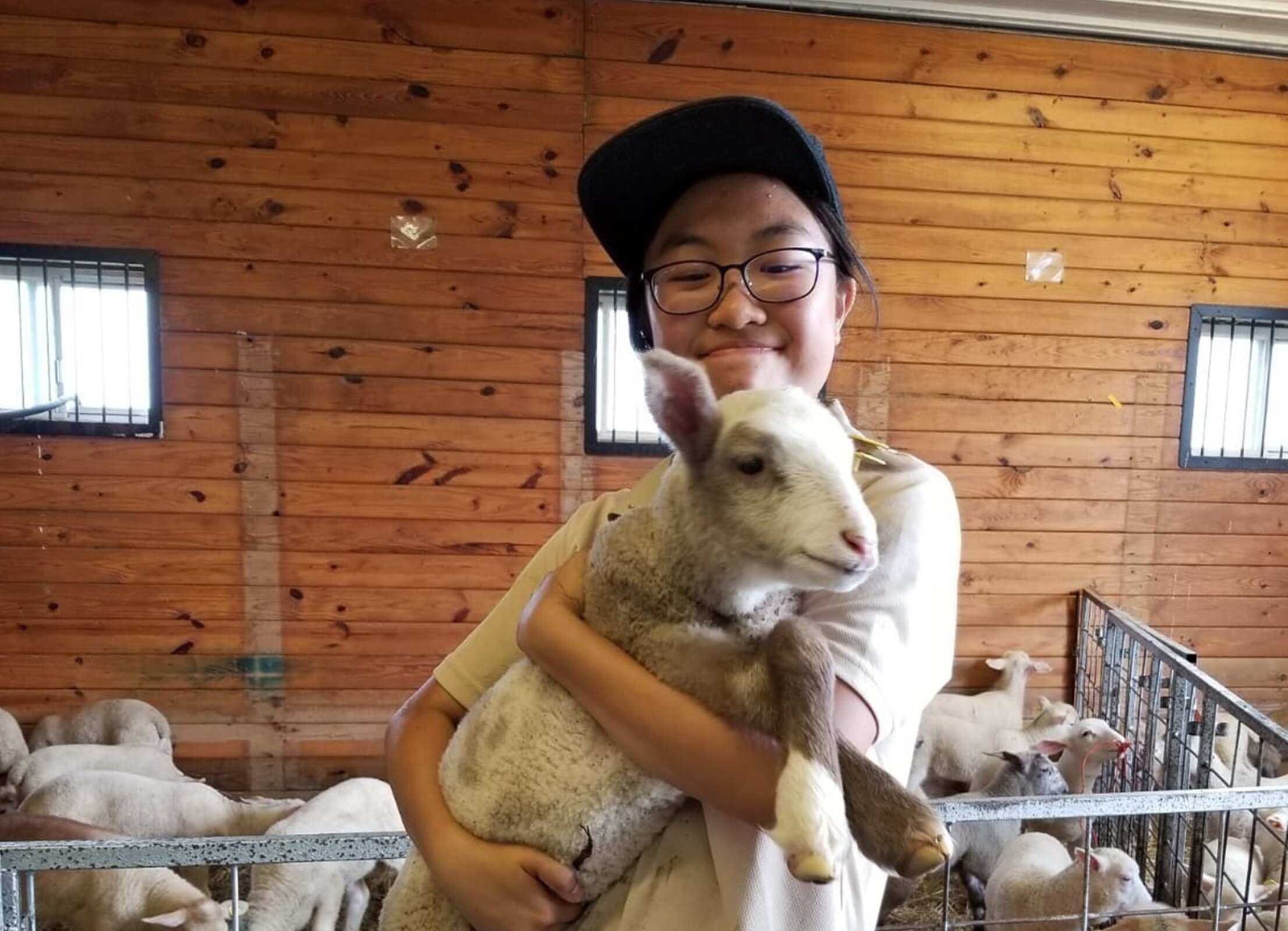A student in vet school tells us what it's really like to study ...