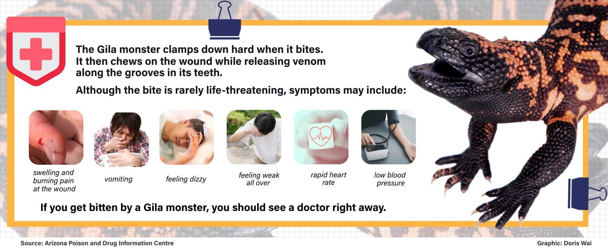 gila monster bite force