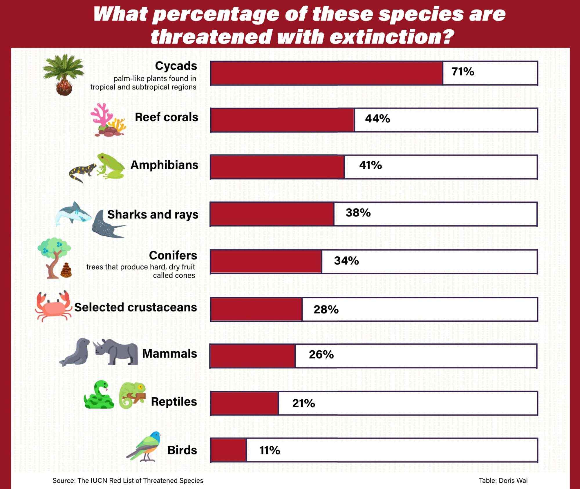 animal extinction chart